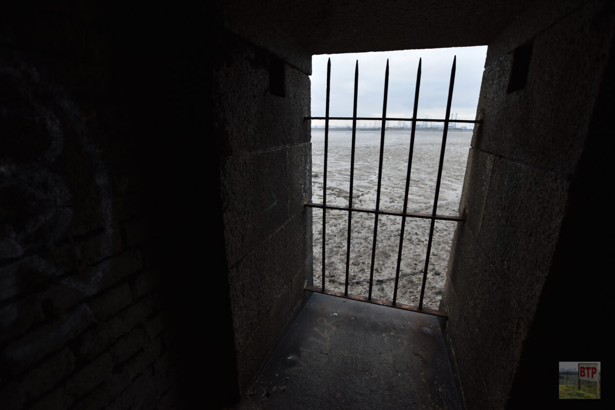 Grain Tower - Beyond the Point