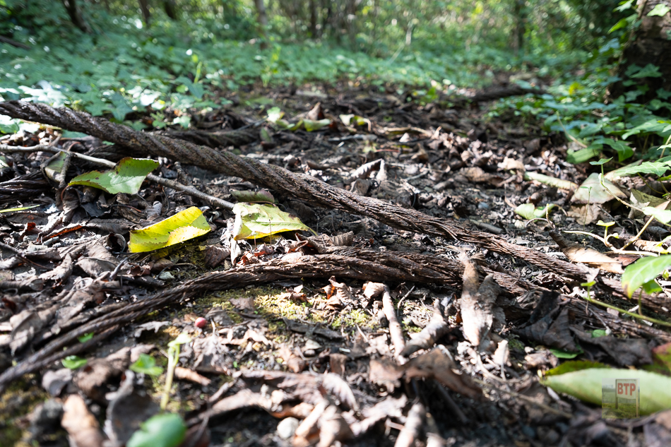 Dagenham Anti Tank Cylinders - Beyond the Point