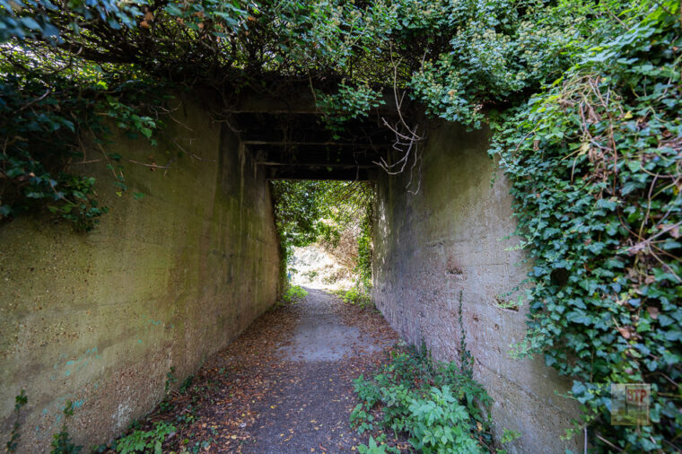 Rainham Marsh Firing Ranges - Beyond the Point
